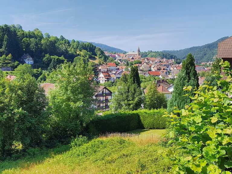 Forbach : Radtouren und Radwege | komoot