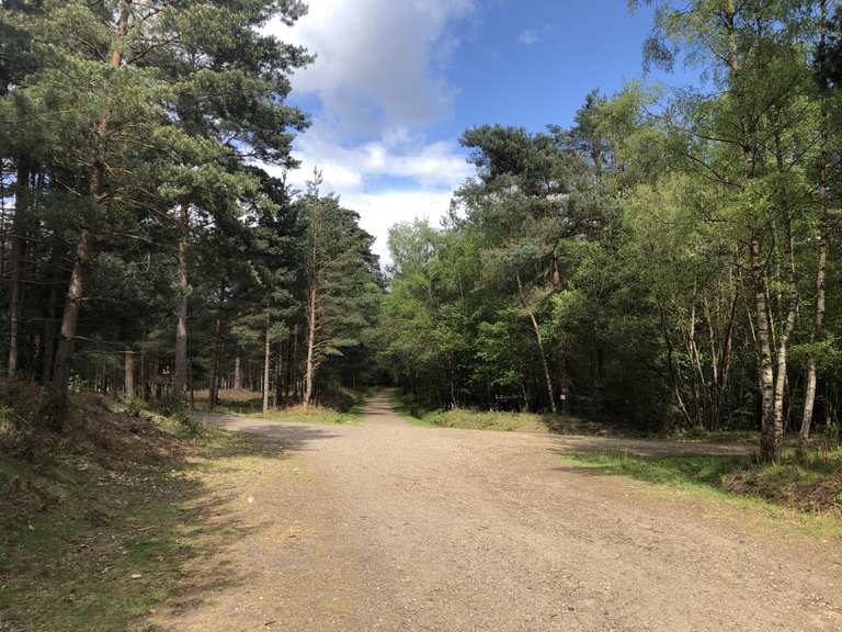 Bifurcation sur le sentier - Itinéraires vélo et carte | Komoot