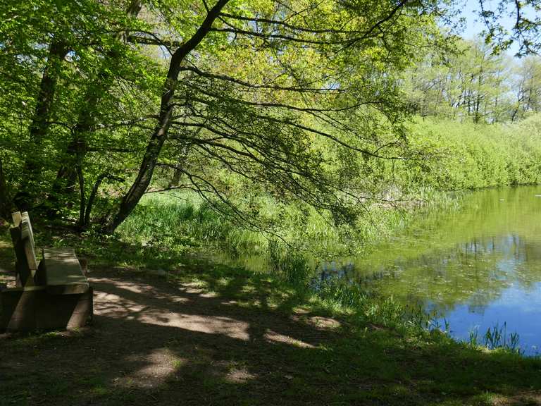 Westerwälder Seenplatte – 7-Weiher-Wanderweg Nordschleife – Tagestouren ...