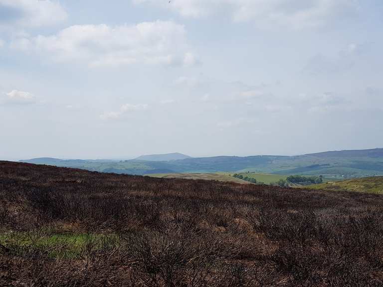 Long Mynd Routes for Walking and Hiking | Komoot