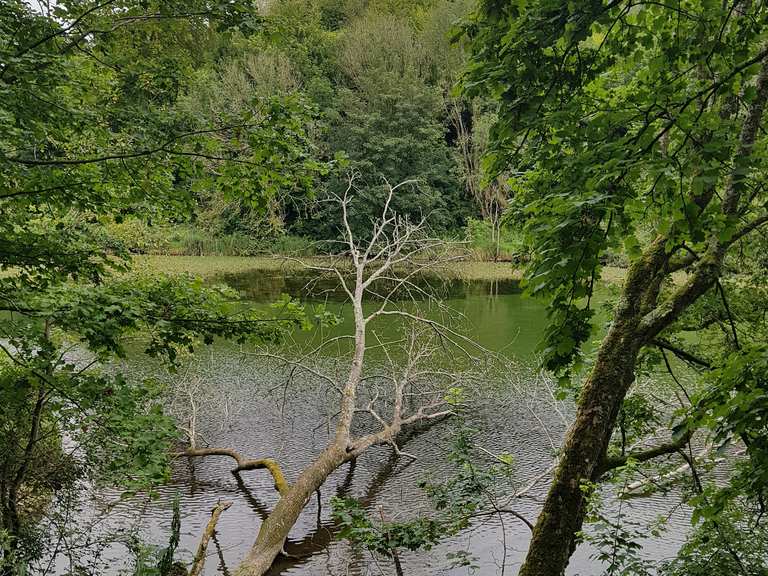 Swanbourne Lake Routes for Walking and Hiking | Komoot