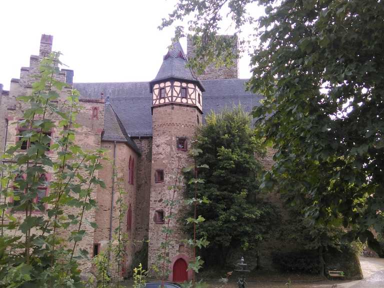 Schloss Kransberg Routes for Walking and Hiking | Komoot