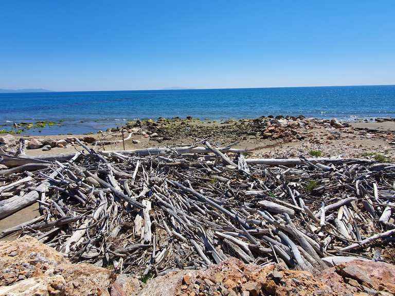 Pista ciclabile nella foce a delta dell'Ombrone Cycle Routes and Map ...
