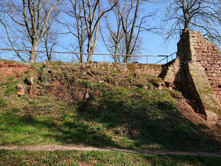 Burgruine Stauf Routes for Walking and Hiking | Komoot