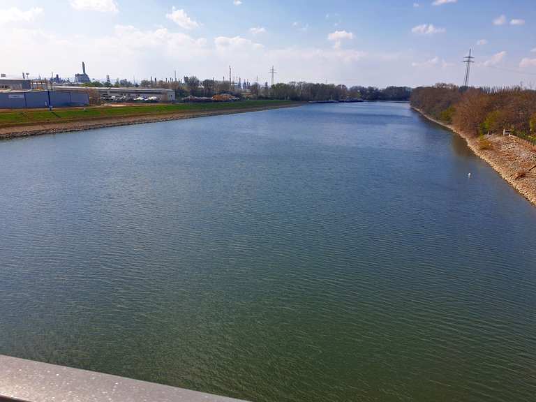 Altrheinbrücke Sandhofen / Mannheim 🚴‍♂️ Road Cycle Routes and Map | Komoot