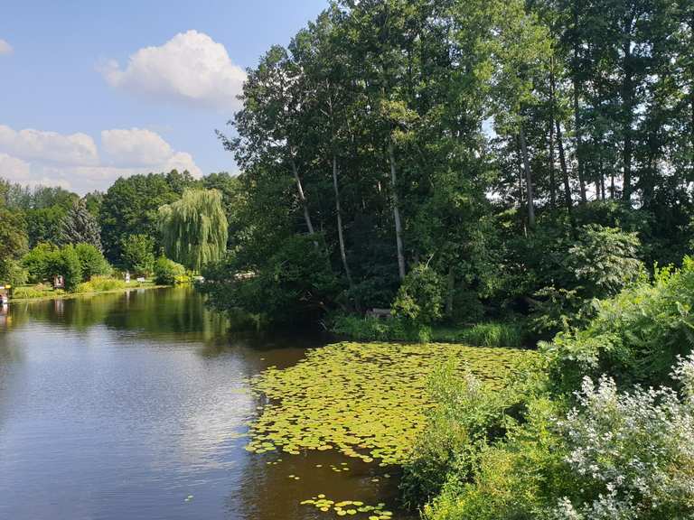 View of the Dahme River - Cycle Routes and Map | Komoot
