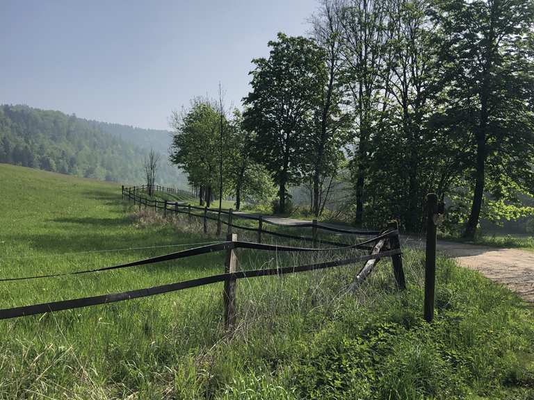 Historisches Wildecker Tal – Ruine Blumenstein Rondje vanuit Raßdorf ...