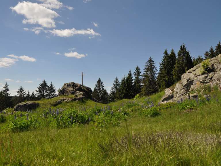 Burgruine Wildstein: Wanderungen und Rundwege | komoot