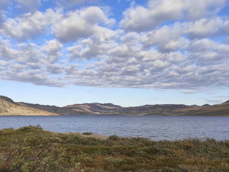 Lake Ferguson Routes for Walking and Hiking | Komoot