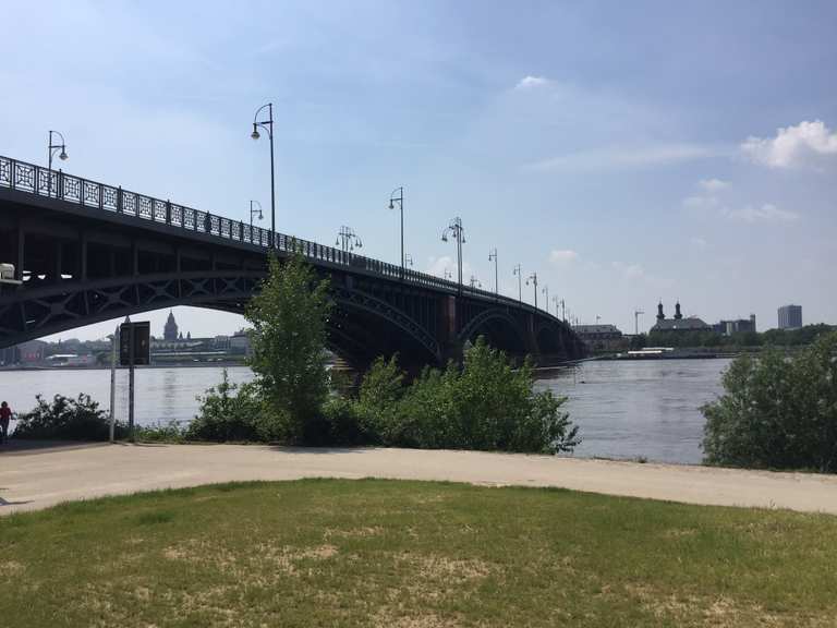 Neues Rheinufer mit Blick auf Mainz: Radtouren und Radwege | komoot