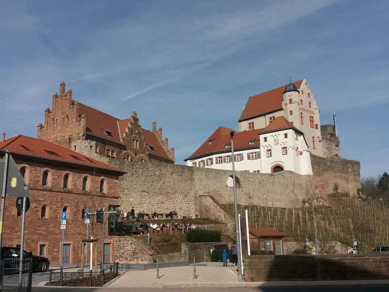 Burg Alzenau Routes for Walking and Hiking | Komoot