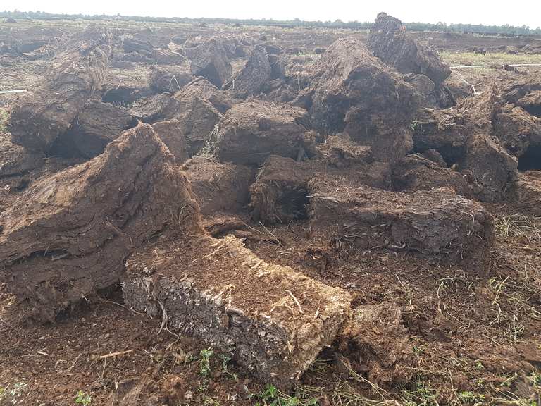 Torfabbau Campemoor Cycle Routes and Map | Komoot