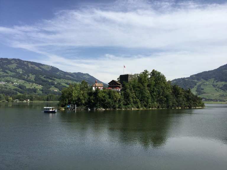 Insel Schwanau - Mountain Bike Trails & Tracks | Komoot