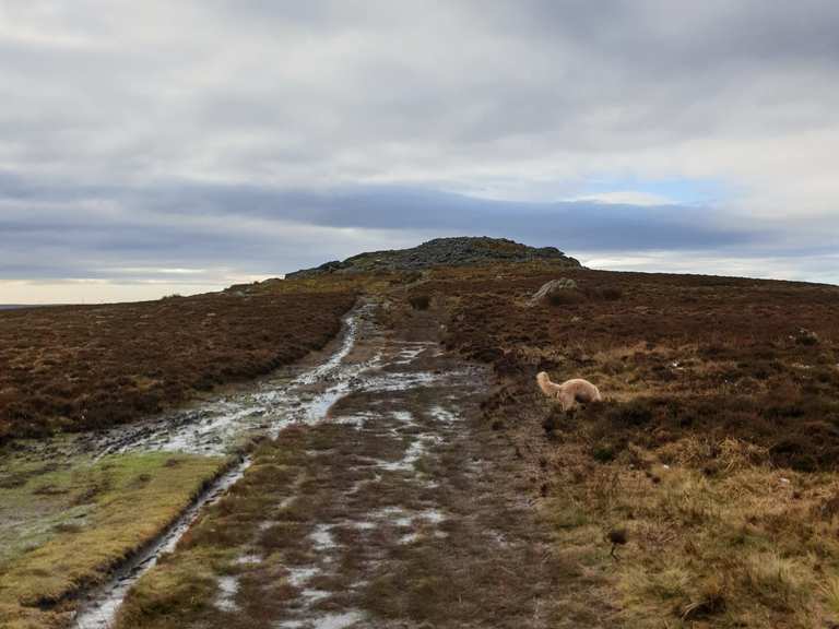 The Blorenge Routes for Walking and Hiking | Komoot
