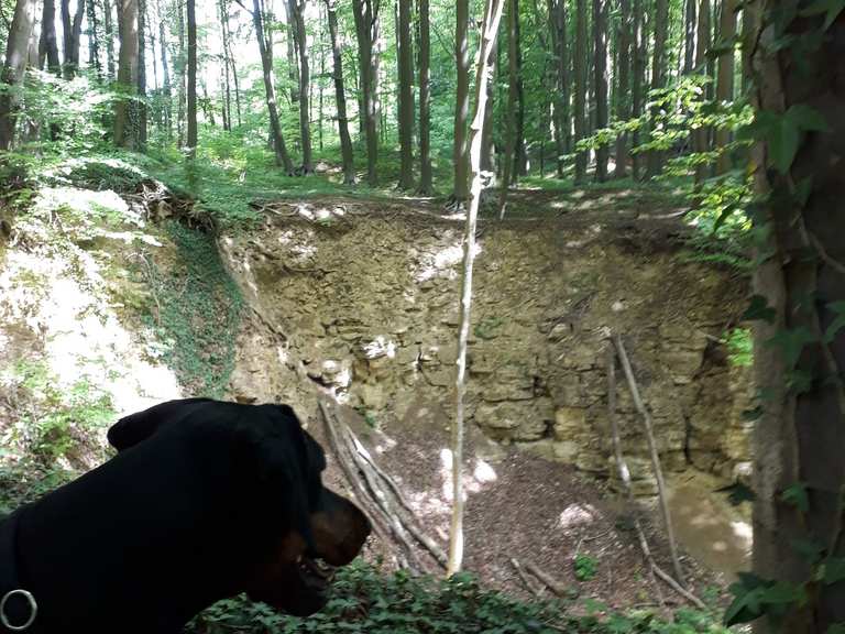 Kalksandsteinbruch Routes for Walking and Hiking | Komoot