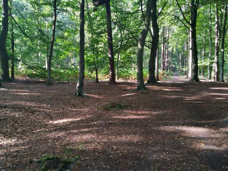 Het Peerdsbos: Wanderungen und Rundwege | komoot