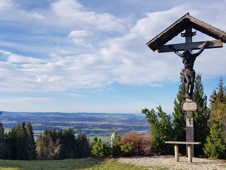 Hongar: MTB-routes en trails | Komoot