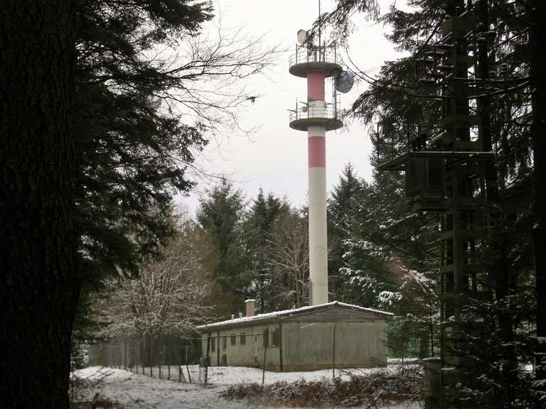 Hohe Derst, 561 m (mit Ritterstein Nr. 301): Wanderungen und Rundwege ...