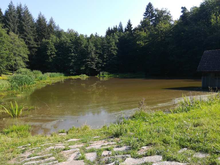 Michelsee bei Aglasterhausen-Michelbach : Radtouren und Radwege | komoot