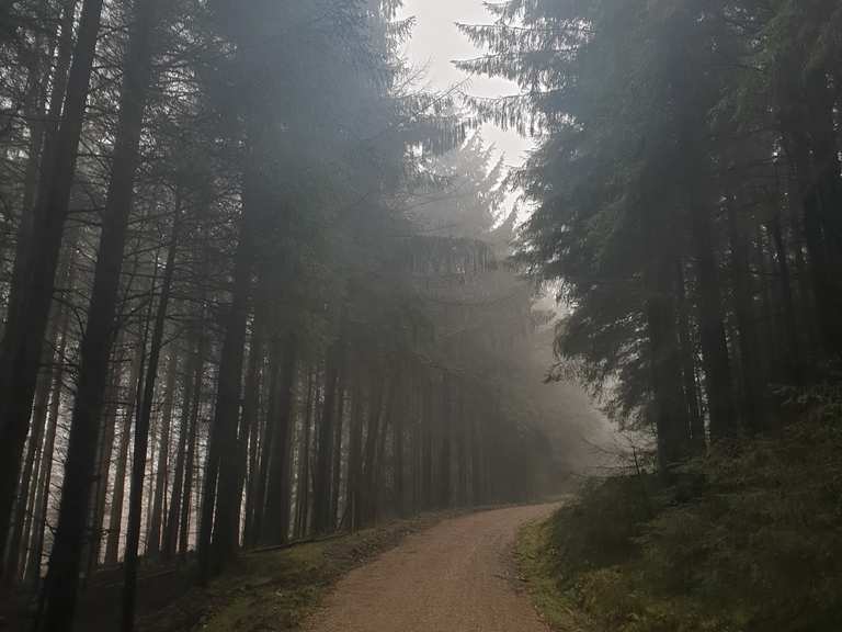 Afan Forest Park Trail Centre - Mountain Bike Trails & Tracks | Komoot