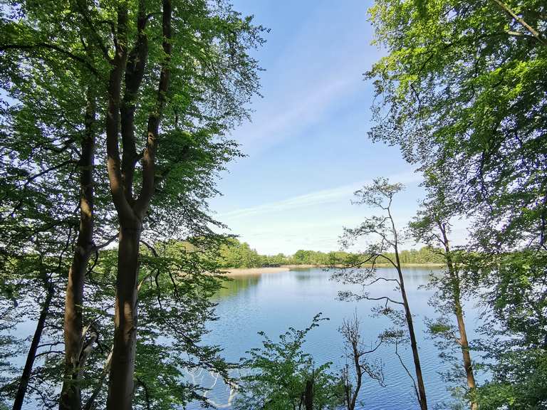 Woseriner-See-Weg: Wanderungen und Rundwege | komoot