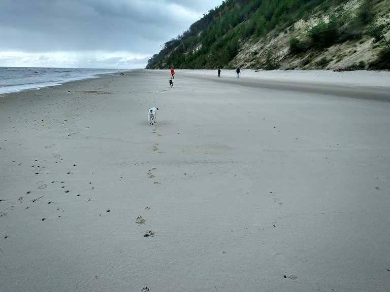 Strand Wiselka bei Mistroy: Wanderungen und Rundwege | komoot