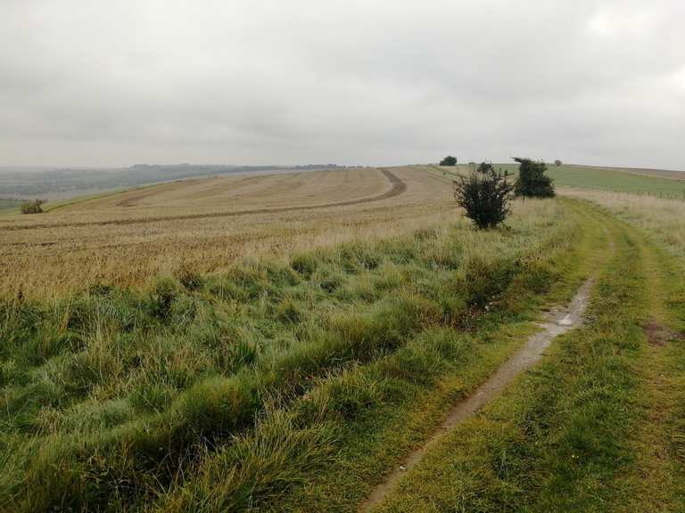 The Ridgeway Mountain Bike Trails & Tracks | Komoot