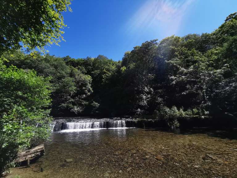 The Cann Viaduct & River Plym loop from Plym Bridge station | hike | Komoot