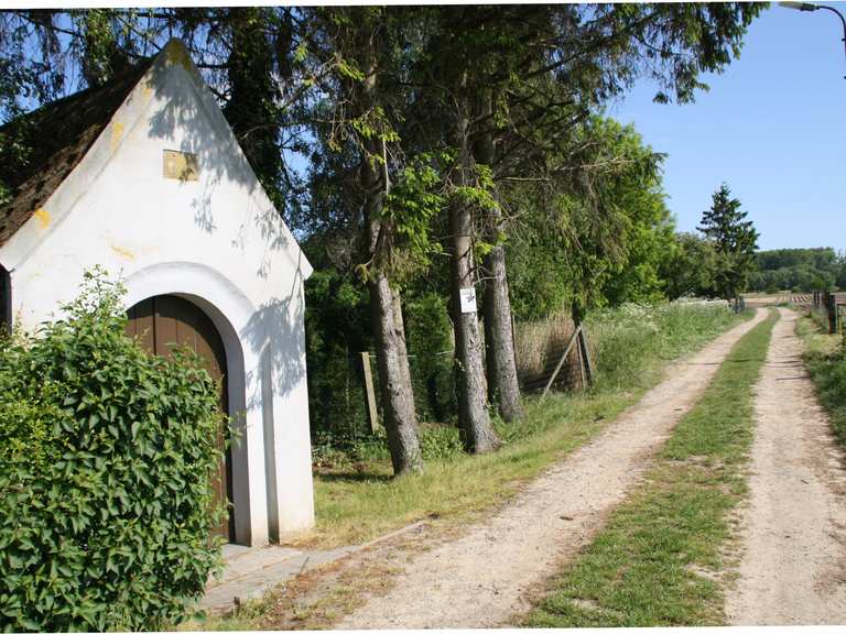 Roofridderspad – Abdij Affligem Circuit à partir de Meldert | randonnée ...