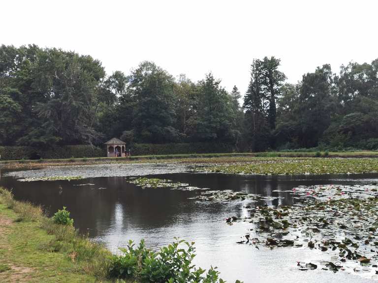 Cow Pond. Routes for Walking and Hiking | Komoot