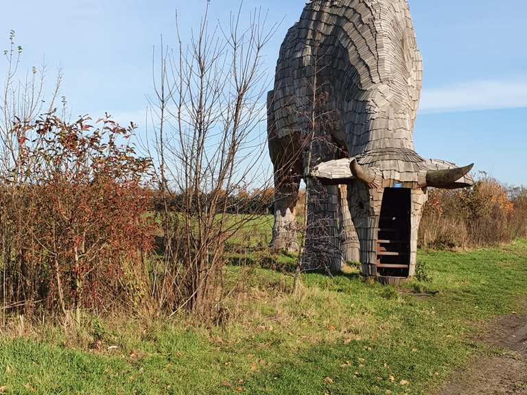 Esbeek: Wanderungen und Rundwege | komoot