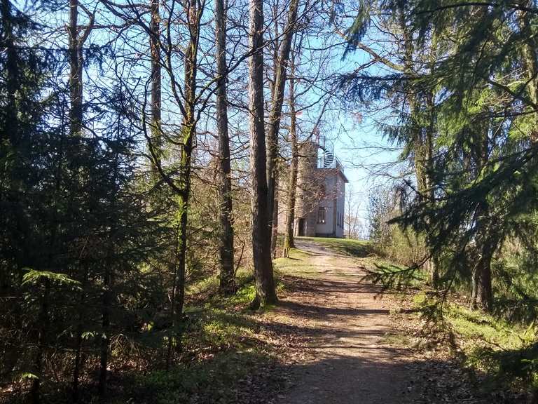 🏛️ Patersbergturm: Wanderungen und Rundwege | komoot