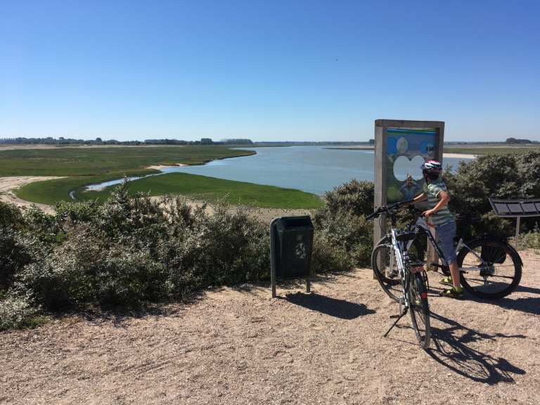 Réserve naturelle de Het Zwin – Het Zwin Naturschutzgebiet boucle au ...
