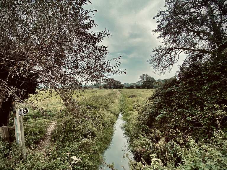 Nailsea Wall along the Kenn and Yeo - Road Cycle Routes and Map | Komoot