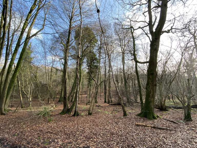 Whiteways Cafe and MTB Trails - Mountain Bike Trails & Tracks | Komoot