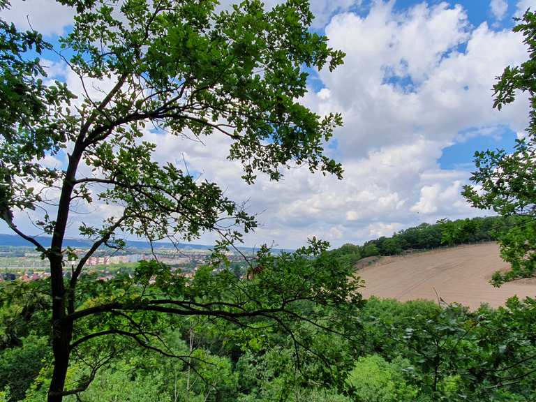 Aussicht vom Zechstein: Wanderungen und Rundwege | komoot