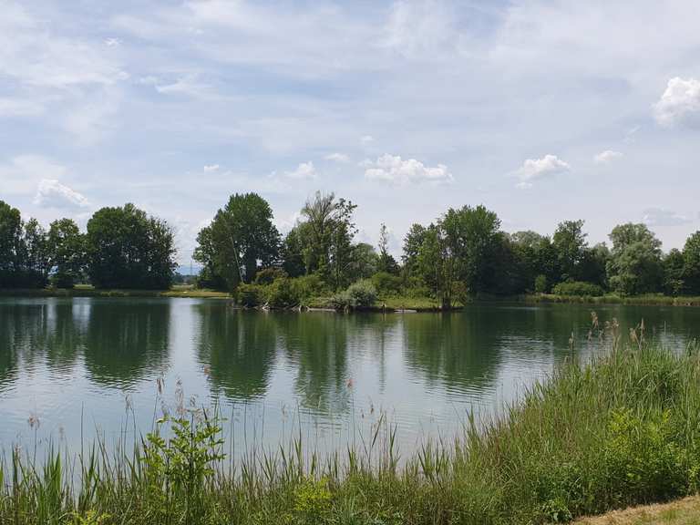 Erlebnisgaststätte Erlensee bei Schechen : Radtouren und Radwege | komoot