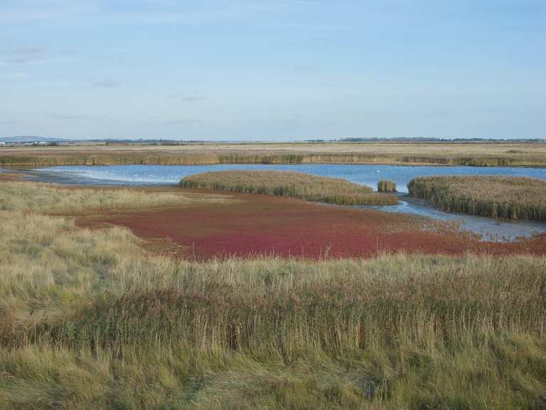 Farlington Marshes Nature Reserve Routes for Walking and Hiking | Komoot
