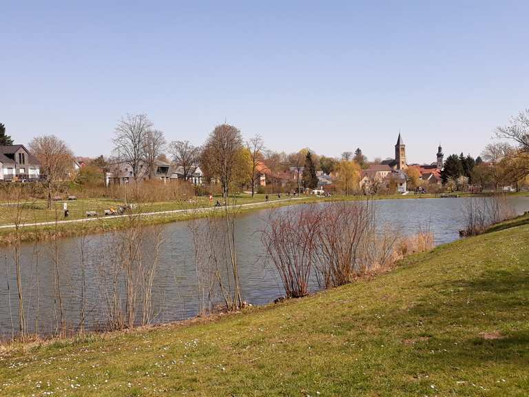 Elsenz See - Mountain Bike Trails & Tracks | Komoot