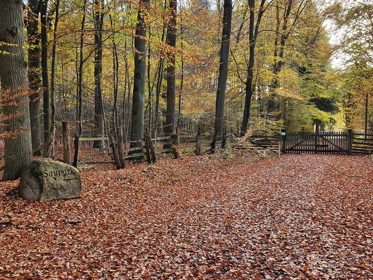 Saupark Sachsenwald: Mountainbike-Touren und -Trails | komoot