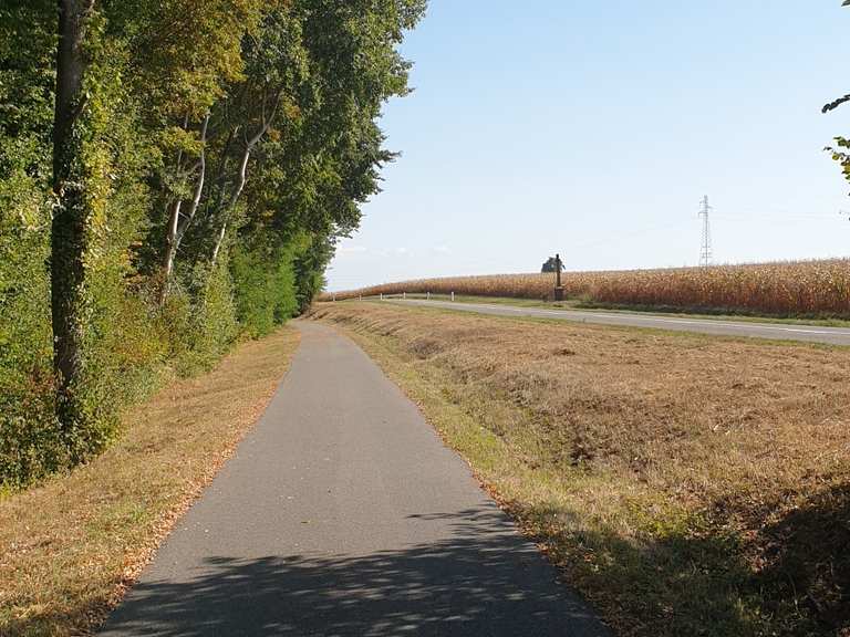 Radweg: Radtouren und Radwege | komoot