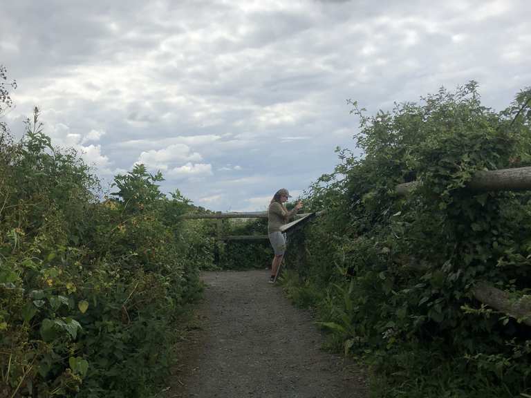RSPB Cliffe Pools Nature Reserve Routes for Walking and Hiking | Komoot