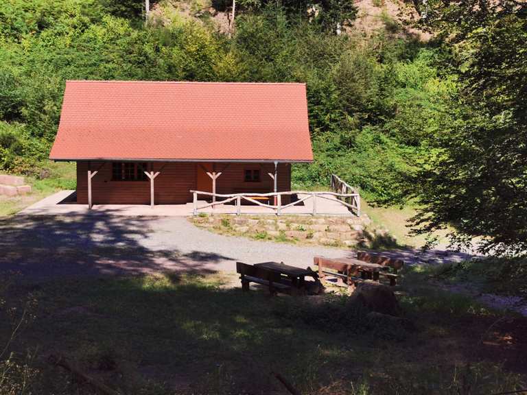 Rinnthal: Tal der Generationen: Wanderungen und Rundwege | komoot