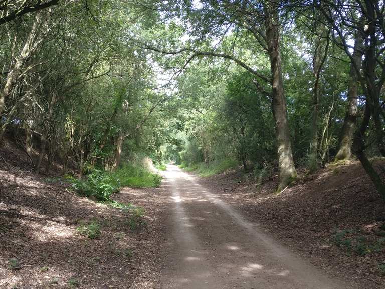 Cole Green Way (East to West) Cycle Routes and Map | Komoot