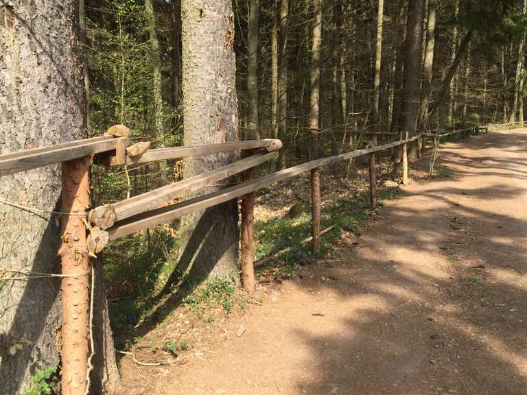 The Mega Forest Marble Run — hiking with small children in RLP and ...