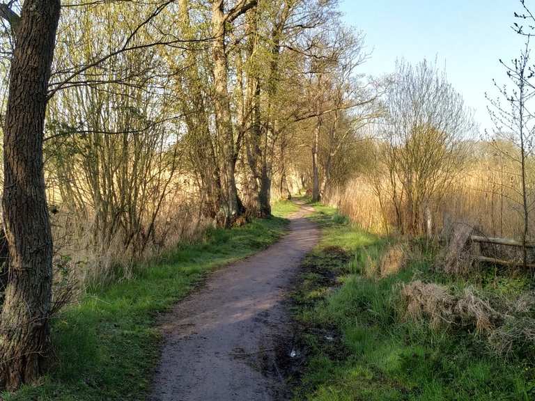 Aalbeek Niederung Routes for Walking and Hiking | Komoot