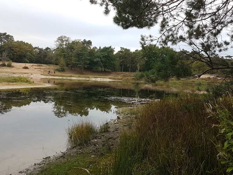 Surae bij Dorst fietsroutes en kaart | Komoot