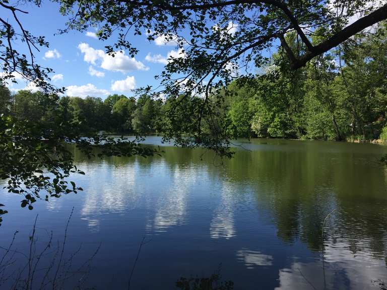 Waldsee: Wanderungen und Rundwege | komoot