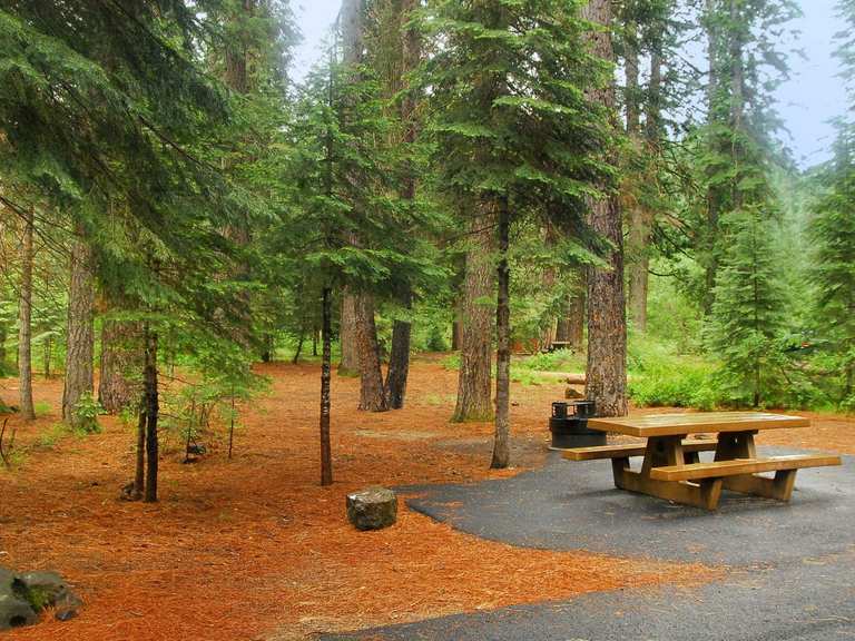 Ruta de las cascadas McCloud | Caminata | Komoot