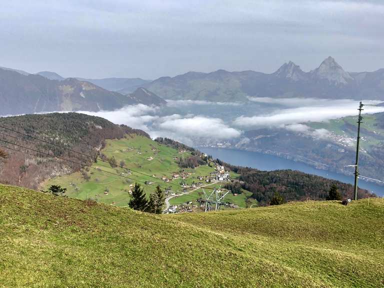 Marienhöhe – Ausblick Seelisbergsee Runde von Seelisberg | Wanderung ...